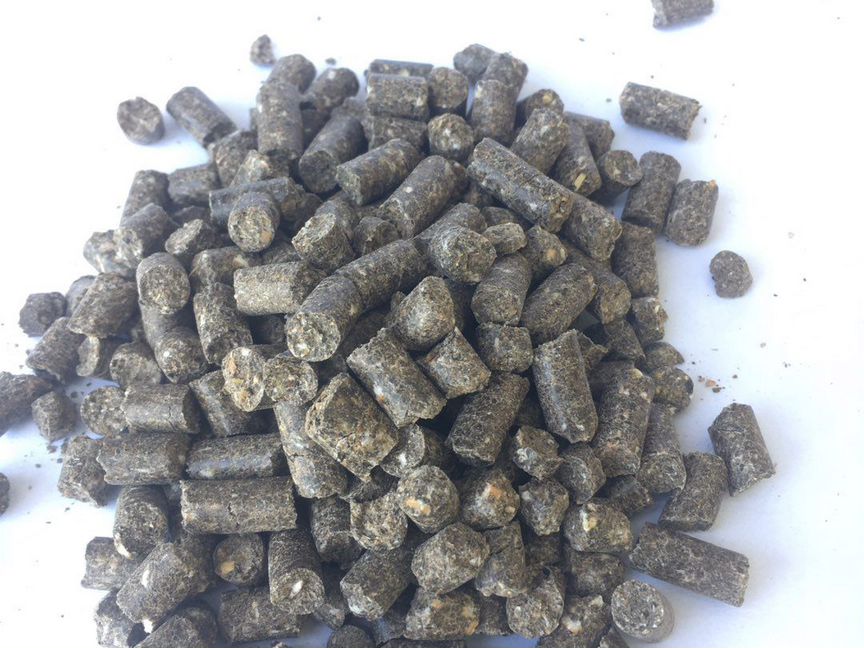 Корм для карпа/сазана