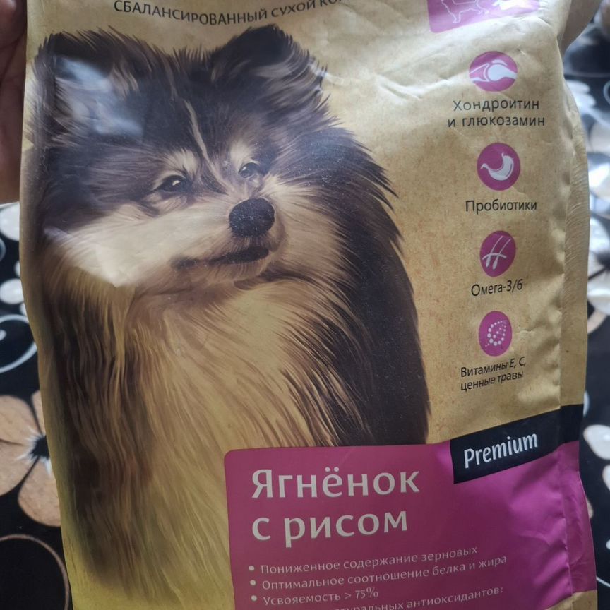 Корм для собак