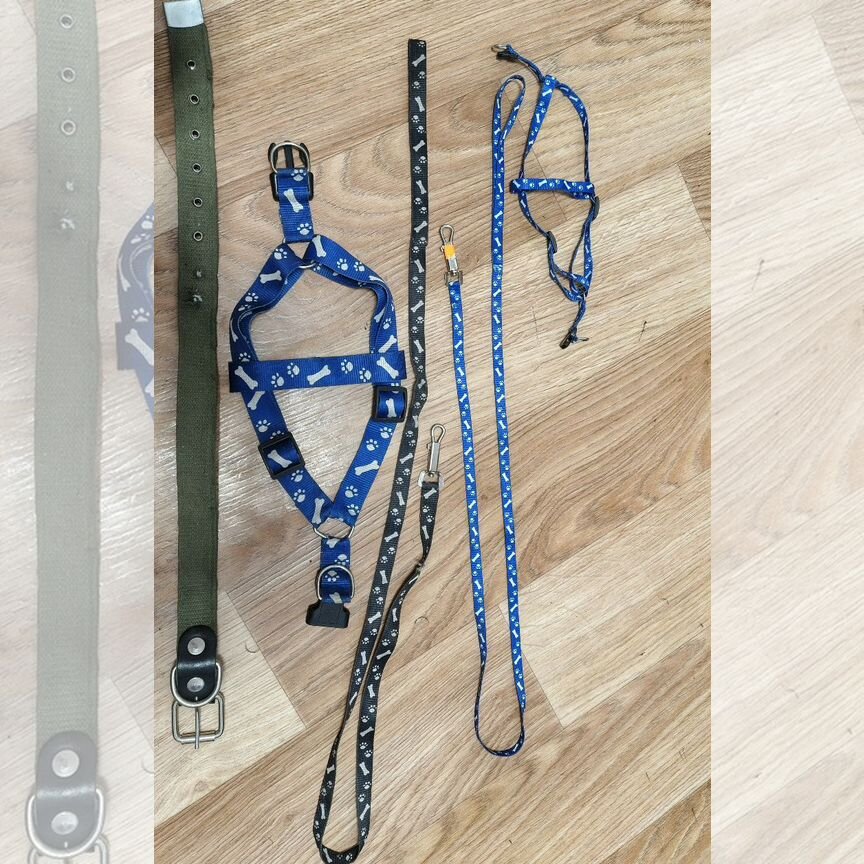 Ошейник, шлейка, поводок