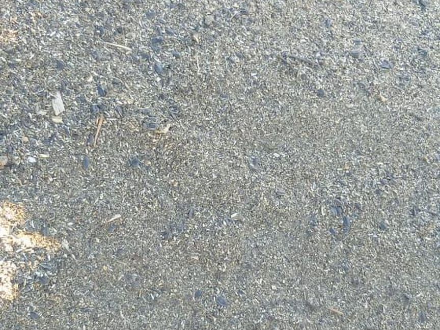 Отходы семечек