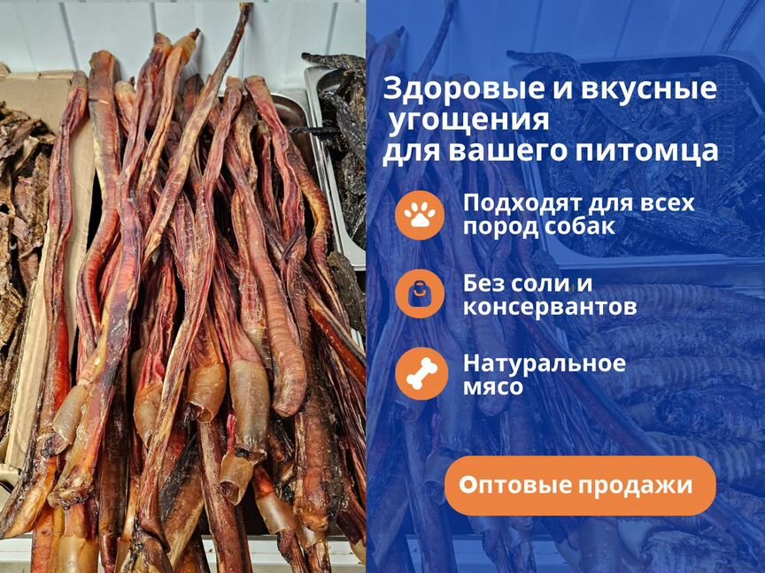 Лакомства для собак оптом