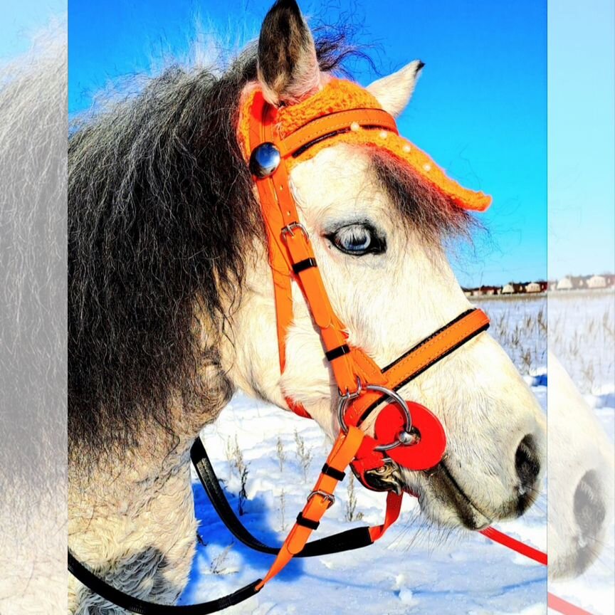 Уздечка и седло комплект для пони