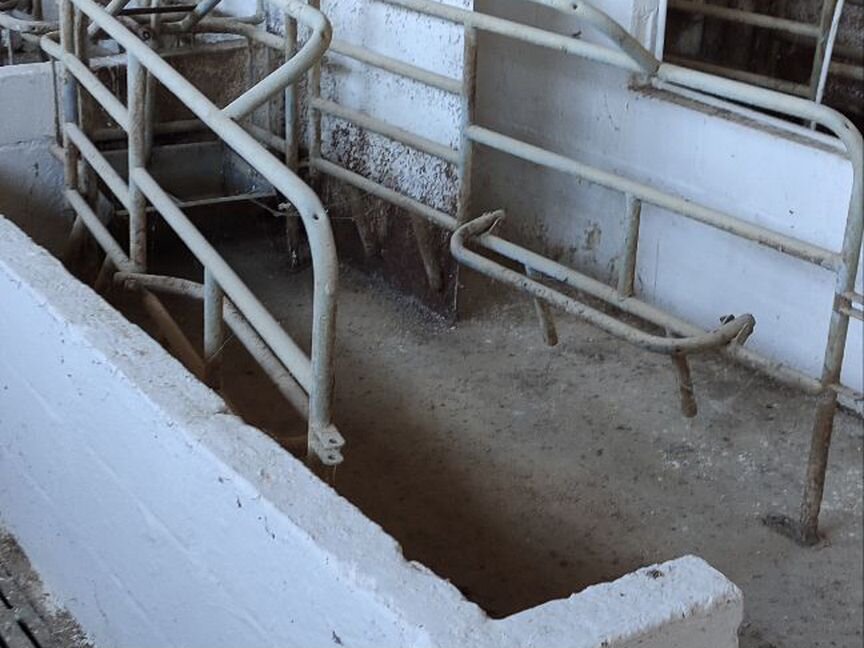 Станок для опороса свиноматки