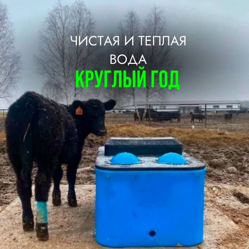 Поилка с подогревом, бесплатная доставка