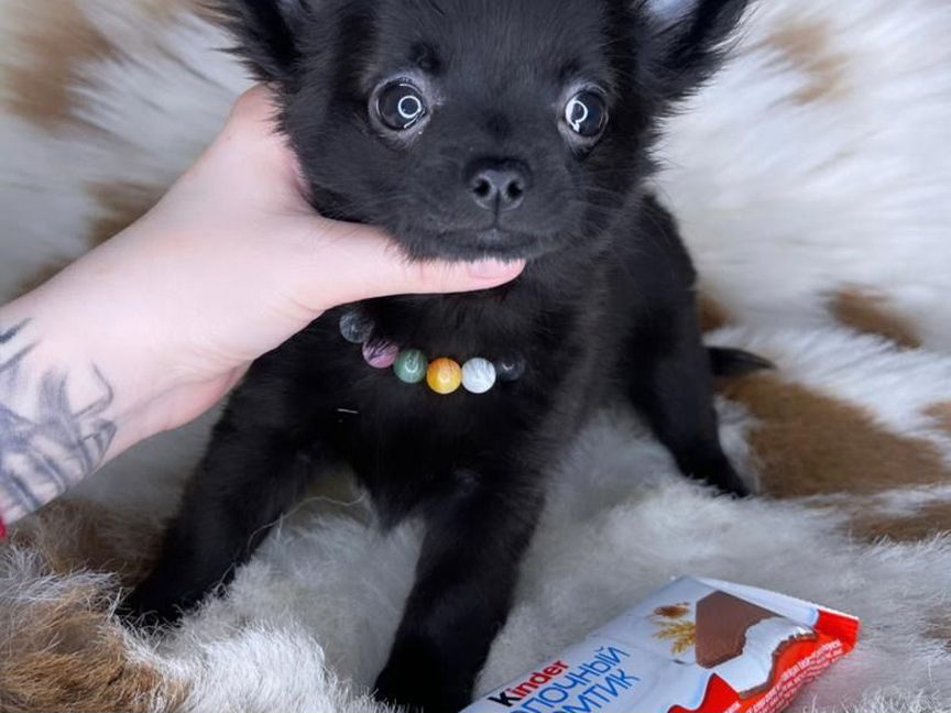 Кукольный Мини Мальчишка