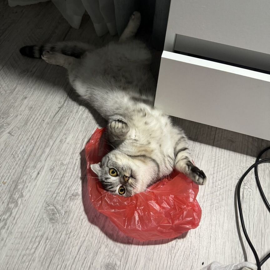 Вязка