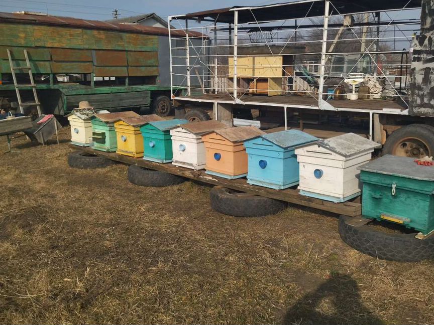 Ульи дадан 12 рамочный