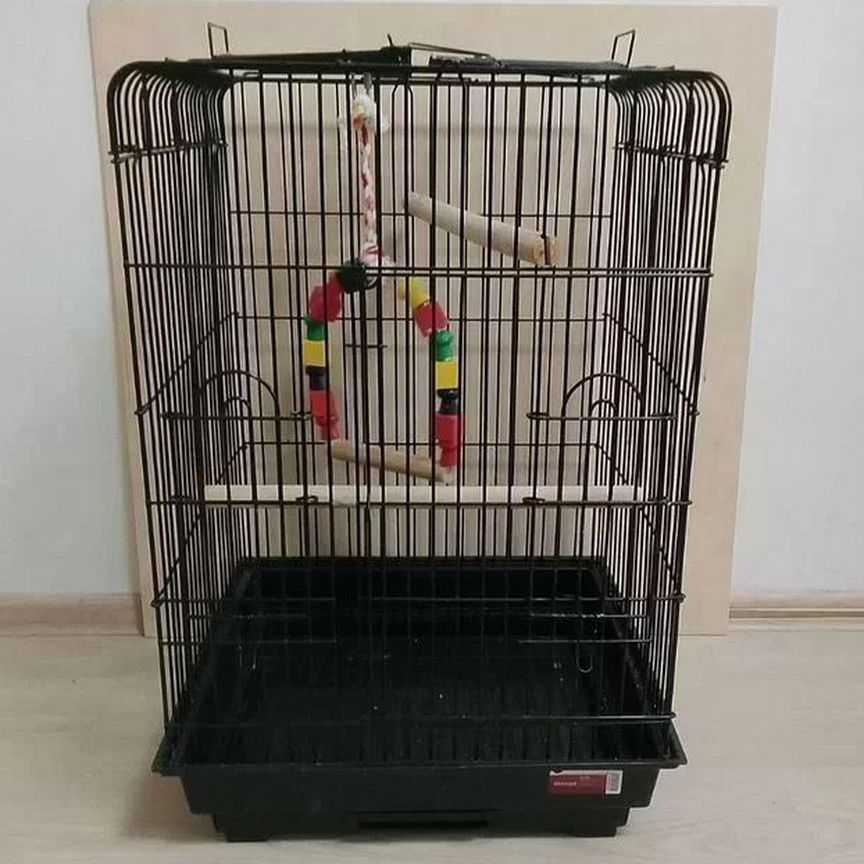 Попугай корелла с клеткой