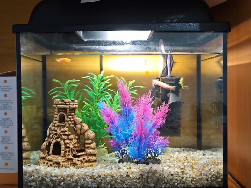 Аквариум 20л с рыбками бу