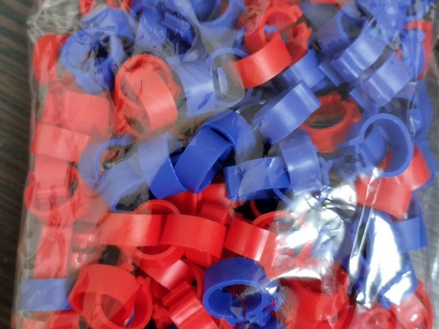 Кольца пластиковые для маркировки птиц