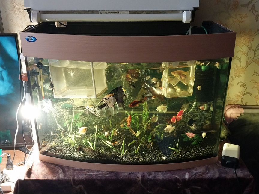 Аквариум 120 литров