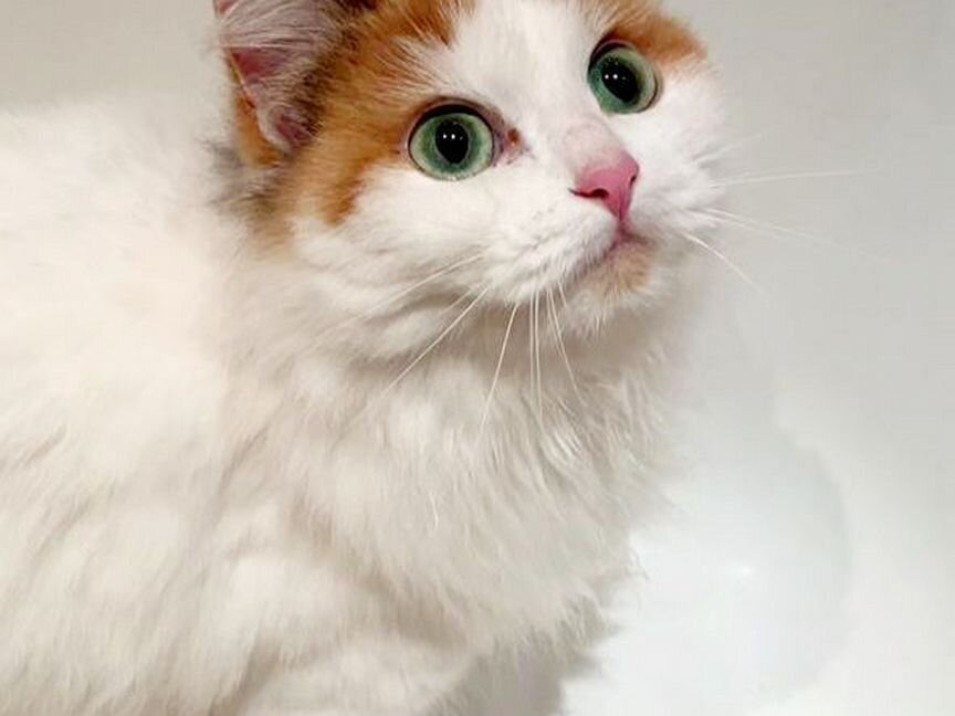 Ей очень нужен дом