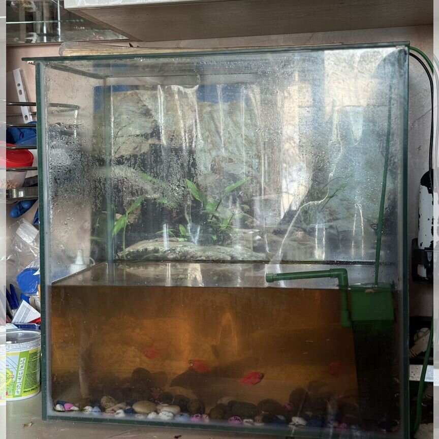 Аквариум с рыбками