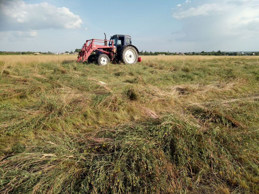 Сено покос