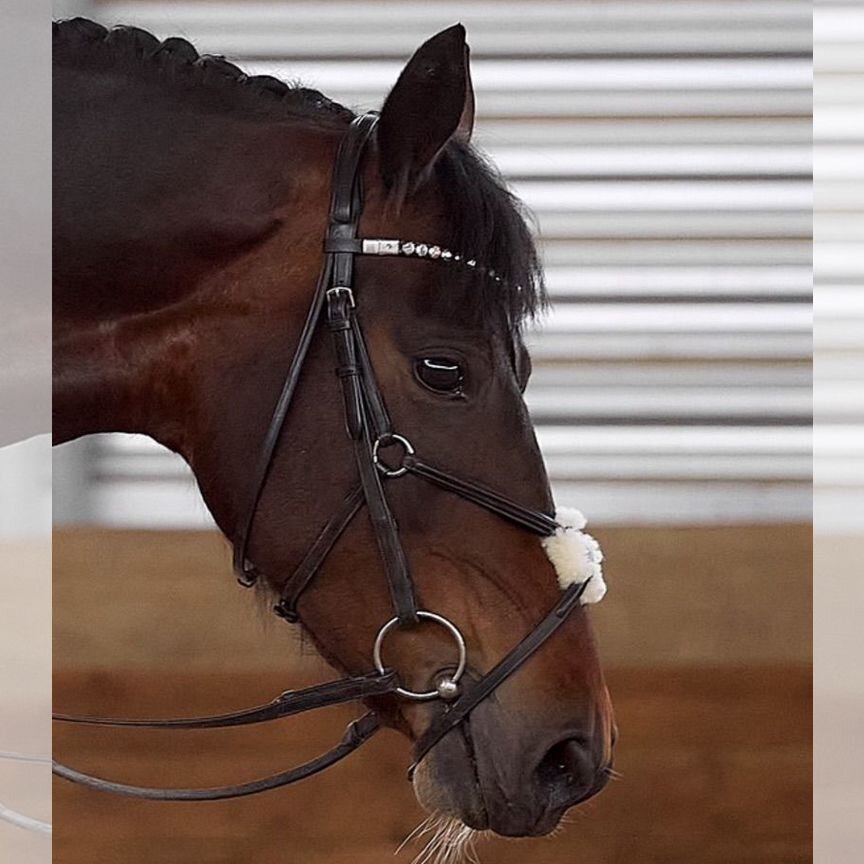 Уздечка для лошади