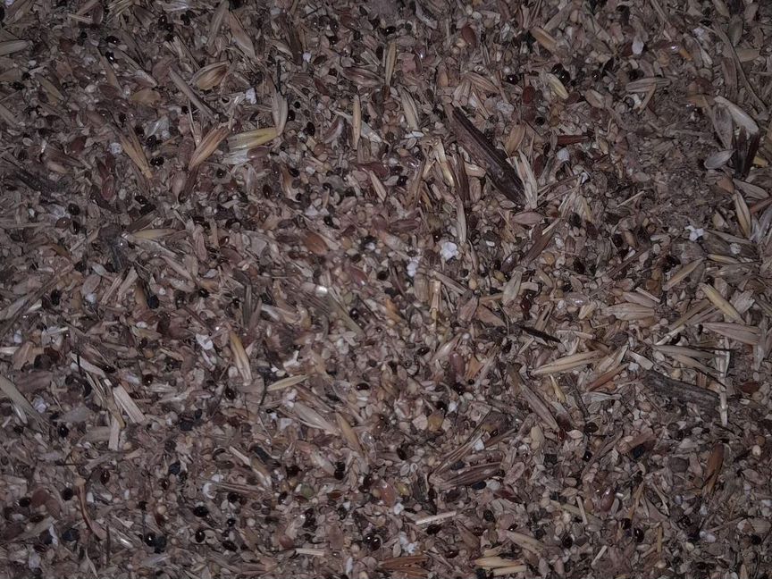 Зерновые отходы