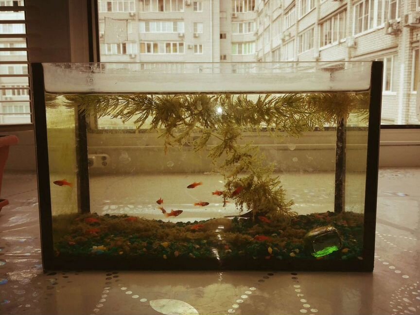 Аквариум - террариум 4л