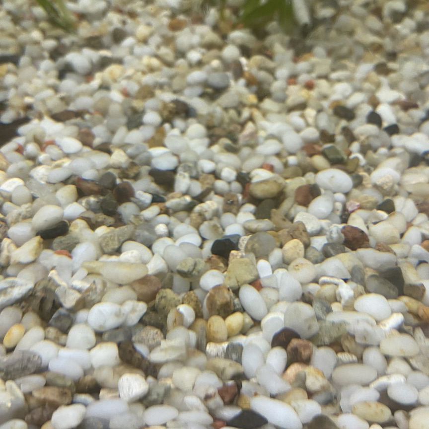 Грунт для аквариума