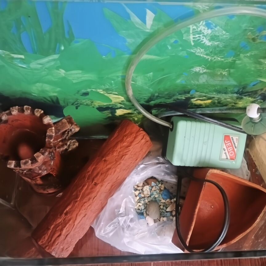 Аквариум