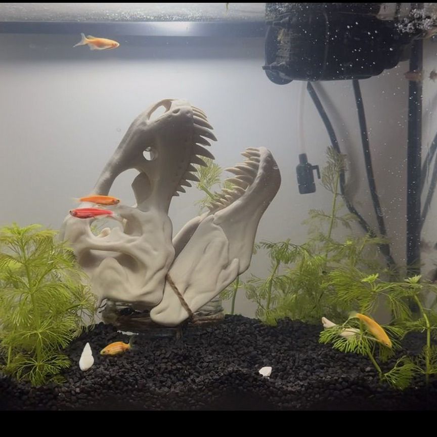 Аквариум с рыбками 20л