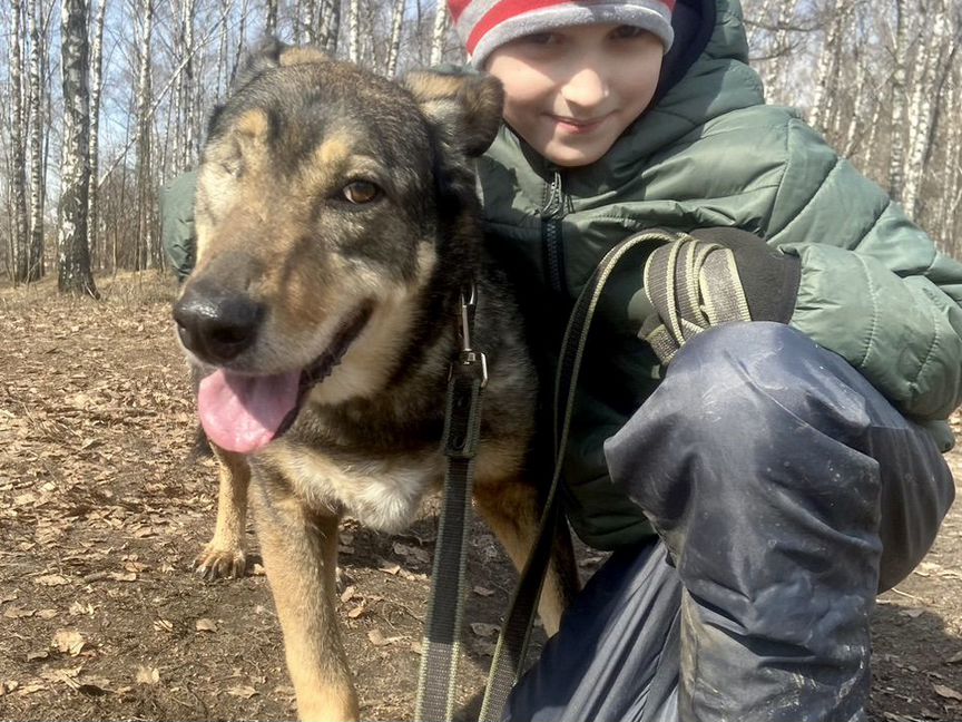 Джекки из приюта в семью