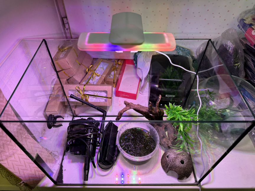 Аквариум на 40 литров