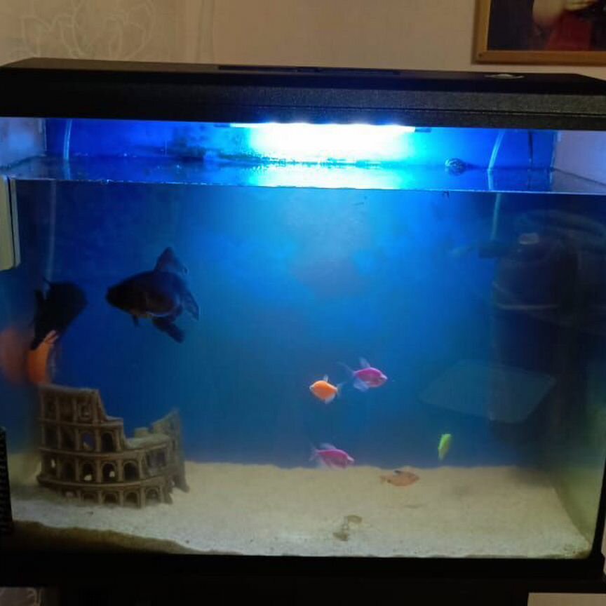 Аквариум с тумбой