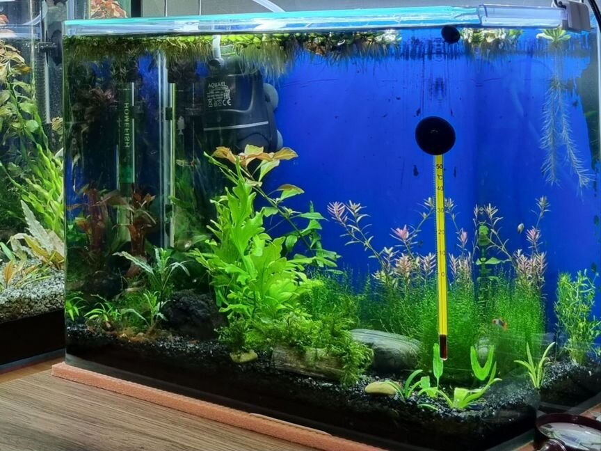 Нано-Аквариум Dорhin 19 л.б/у в отличном состоянии