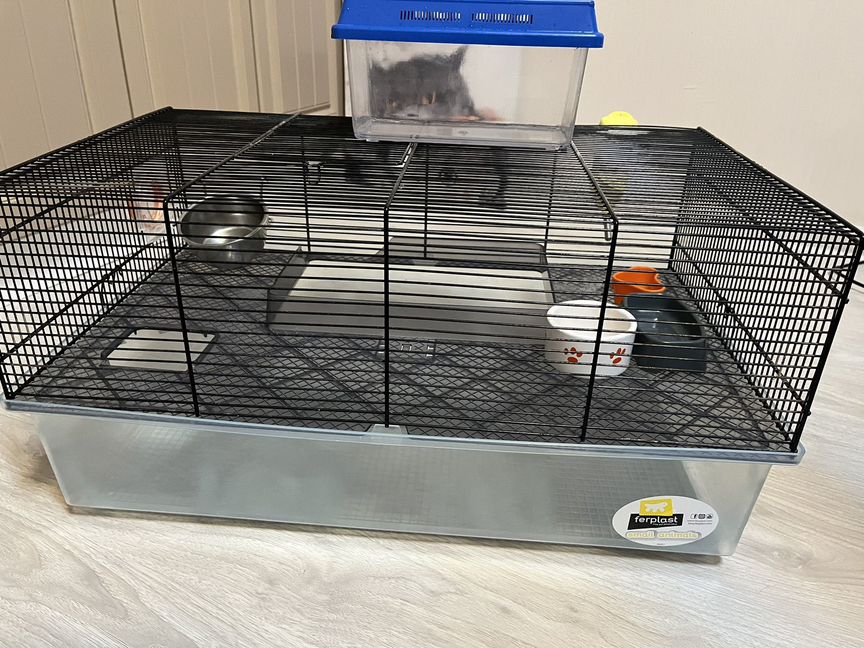 Клетка для песчанок