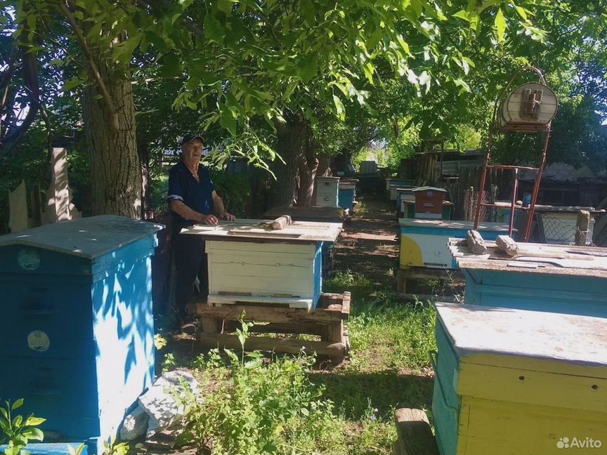 Улики,Рамки,Корпуса