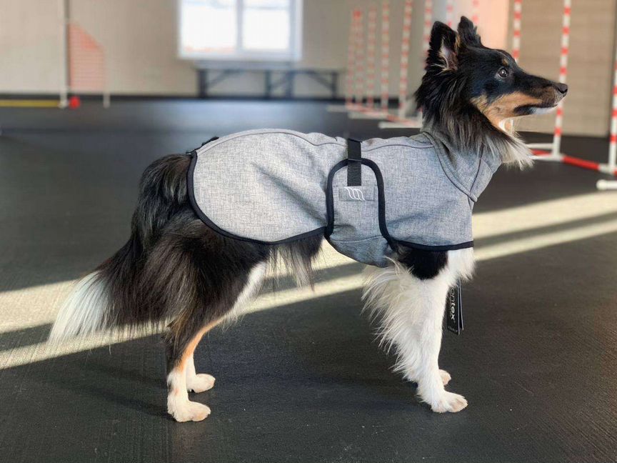 Попона для собак Back on track bark dog coat