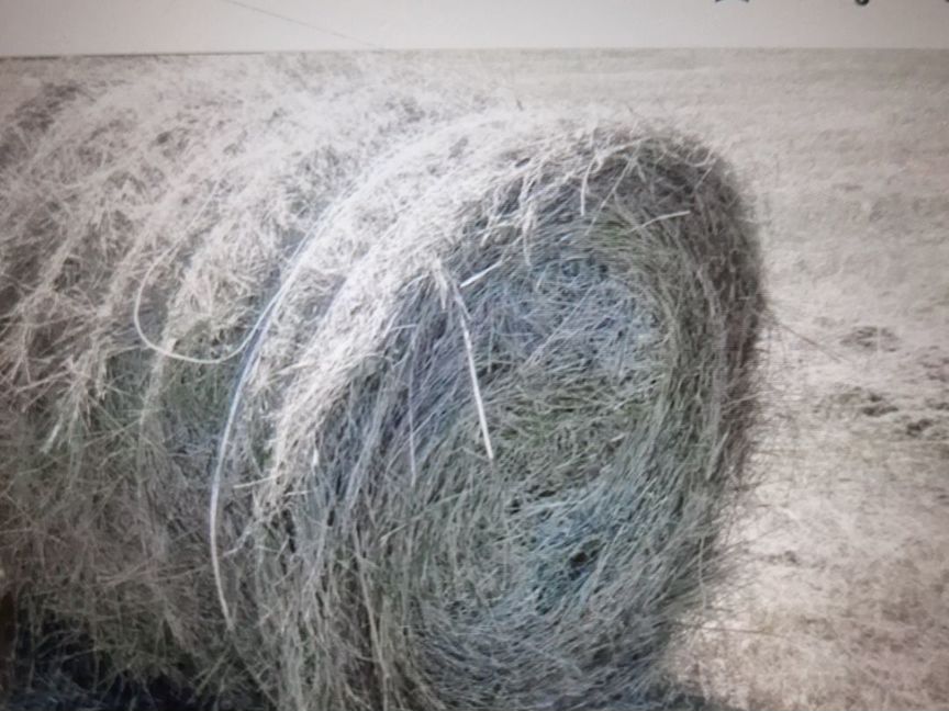 Сено степное