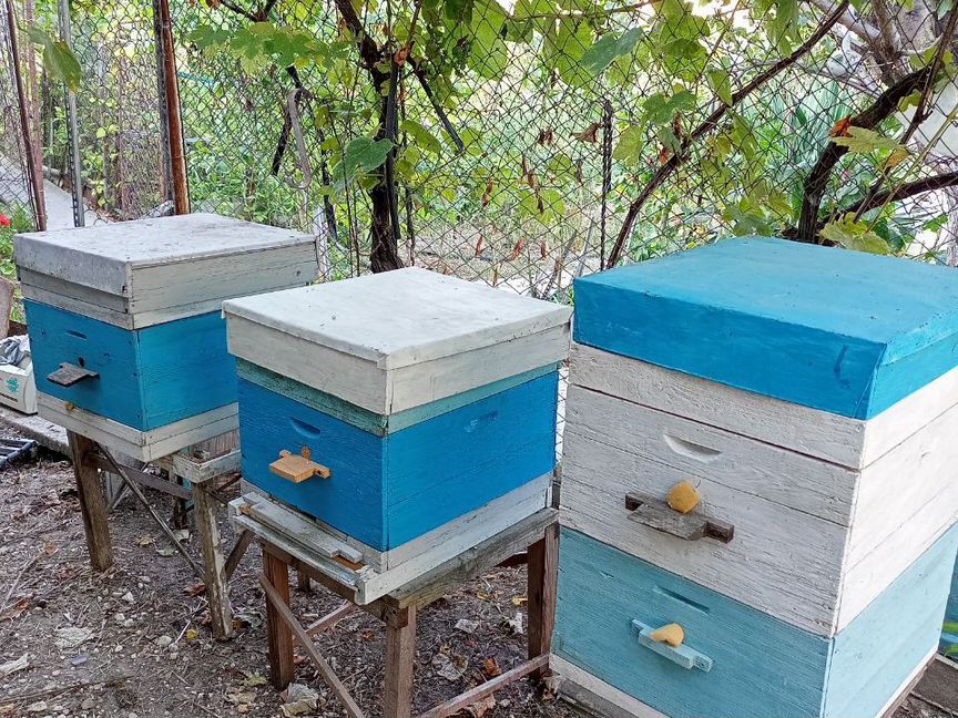 Продам ульи для пчел