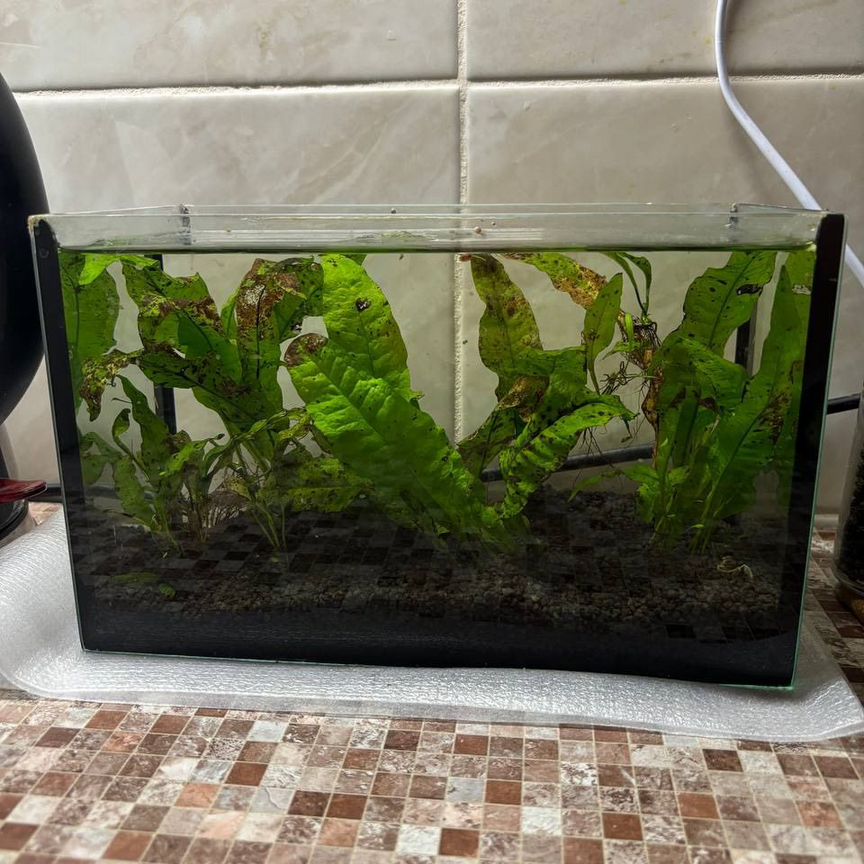 Аквариум 4л