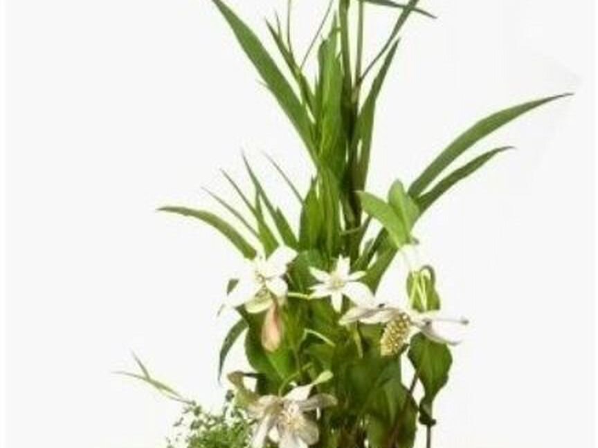 Плавающий светильник для пруда Velda