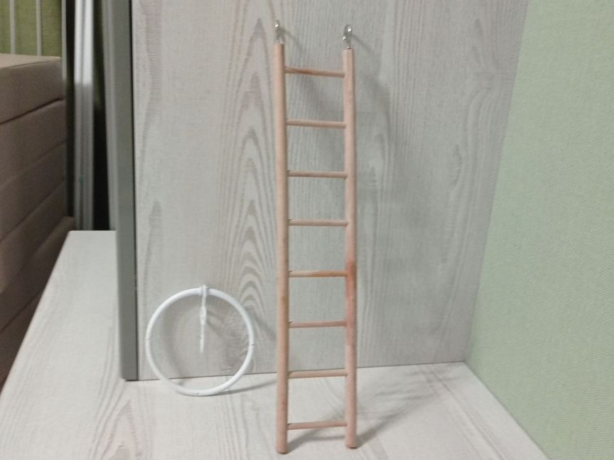 Лестница в клетку и качели