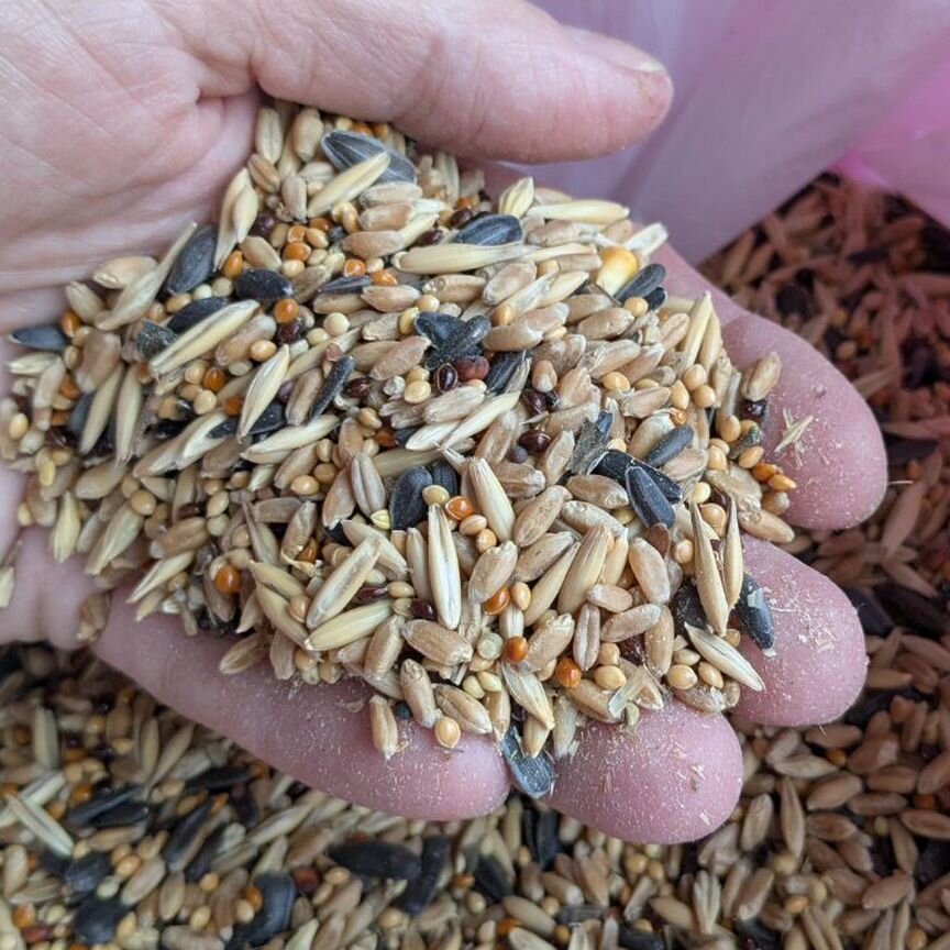 Корм для птиц