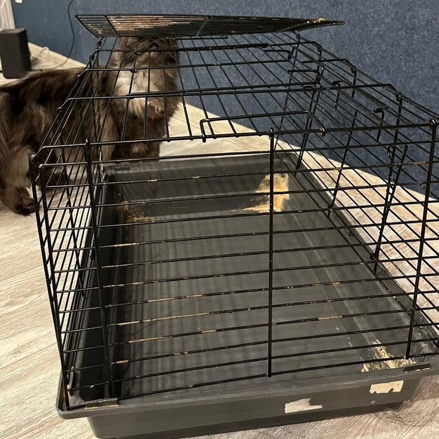 Клетка для кролика, наполнитель, корм, поилка