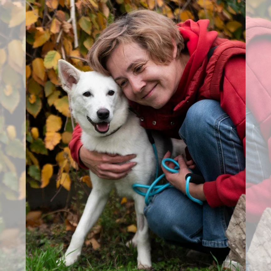 Взрослая собака в добрые руки