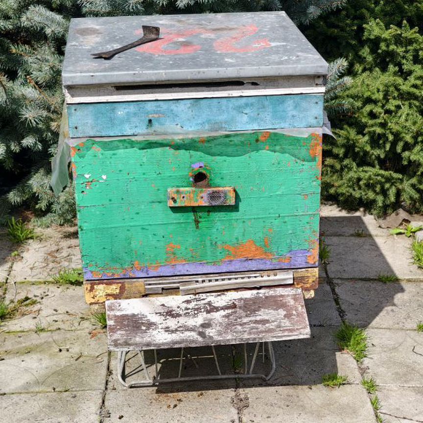 Продается пасека
