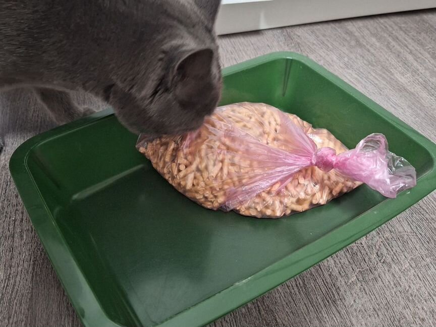 Кошачий лоток и наполнитель