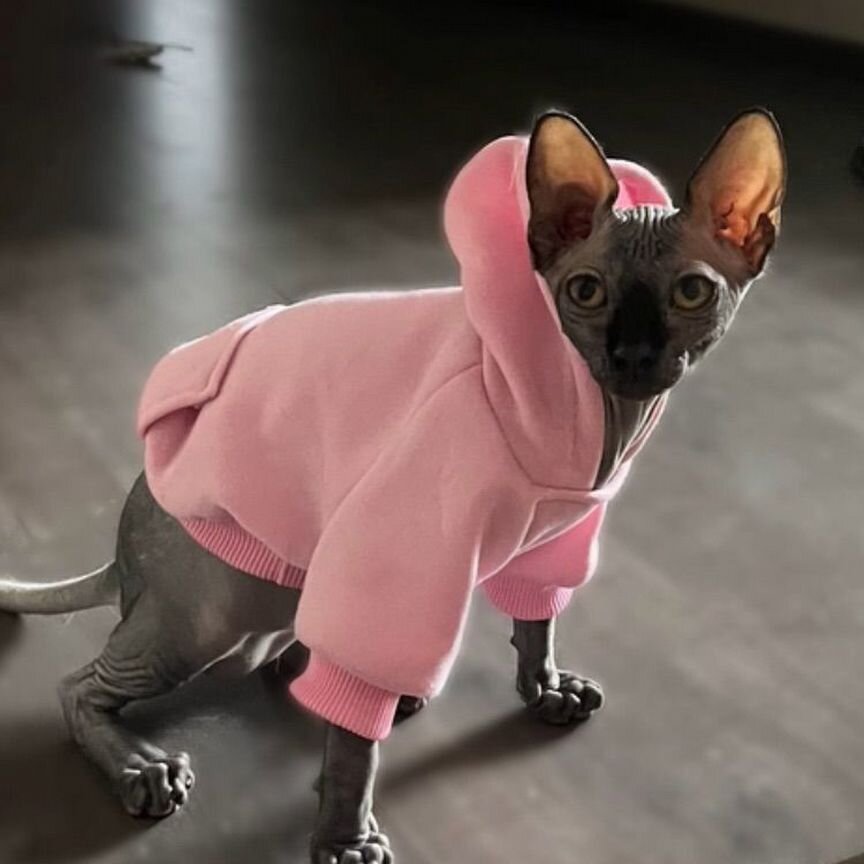 Толстовка для кошек