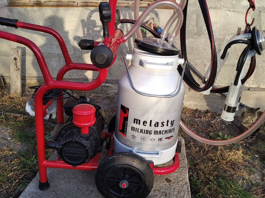 Доильный аппарат для коров