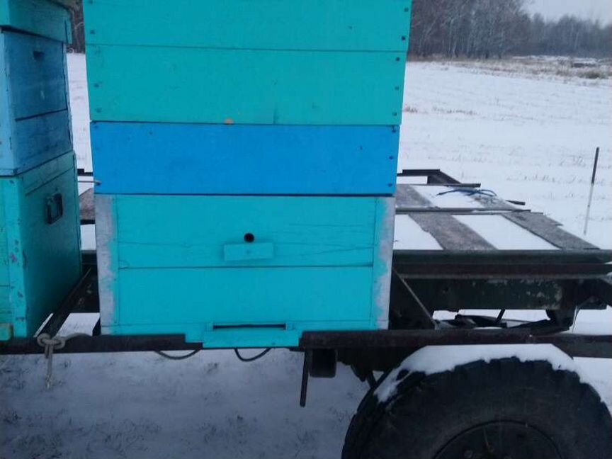 Сушь, рамки, ульи