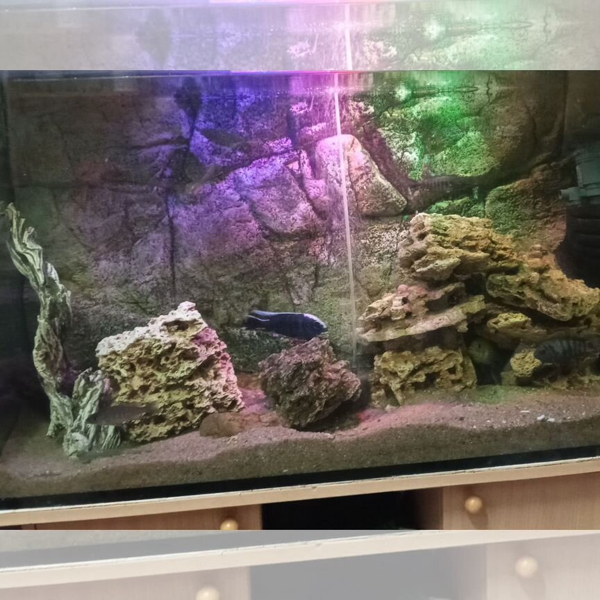 Аквариум 240 л