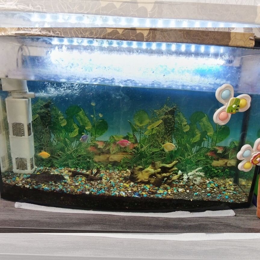 Аквариум 100 литров