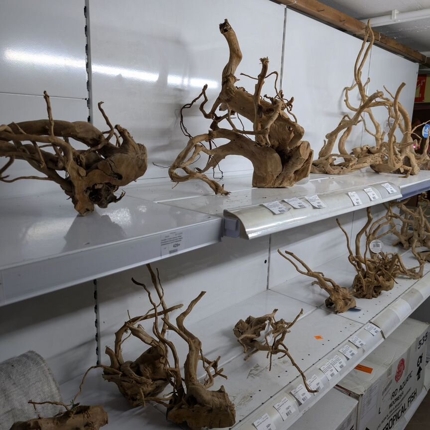 Коряги в ассортименте на Гарибальди