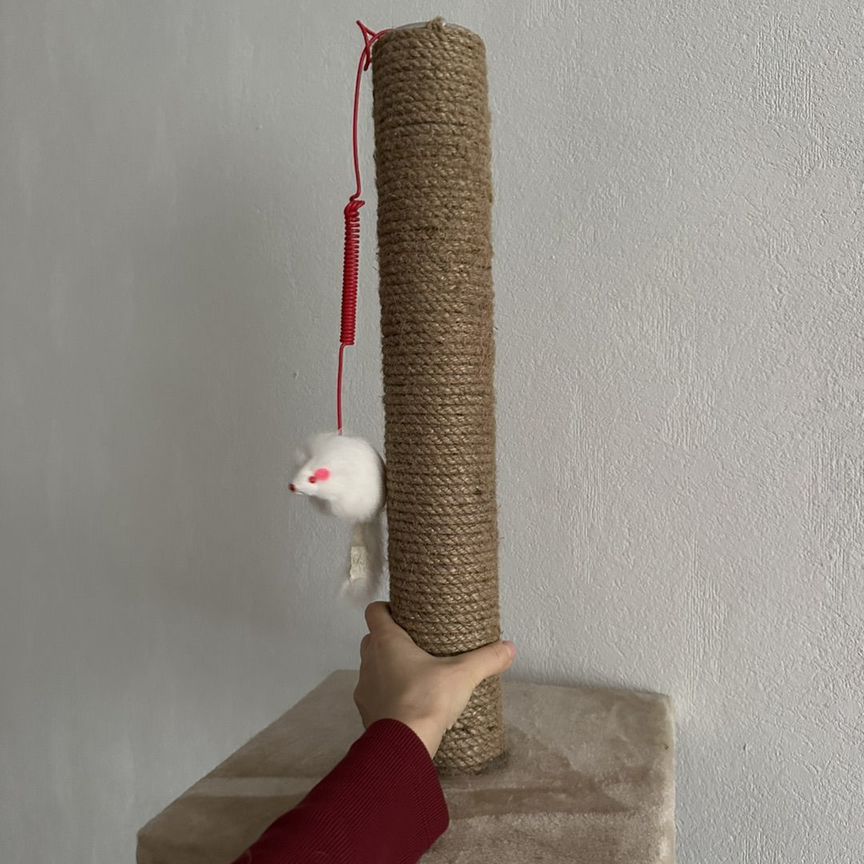 Когтеточка