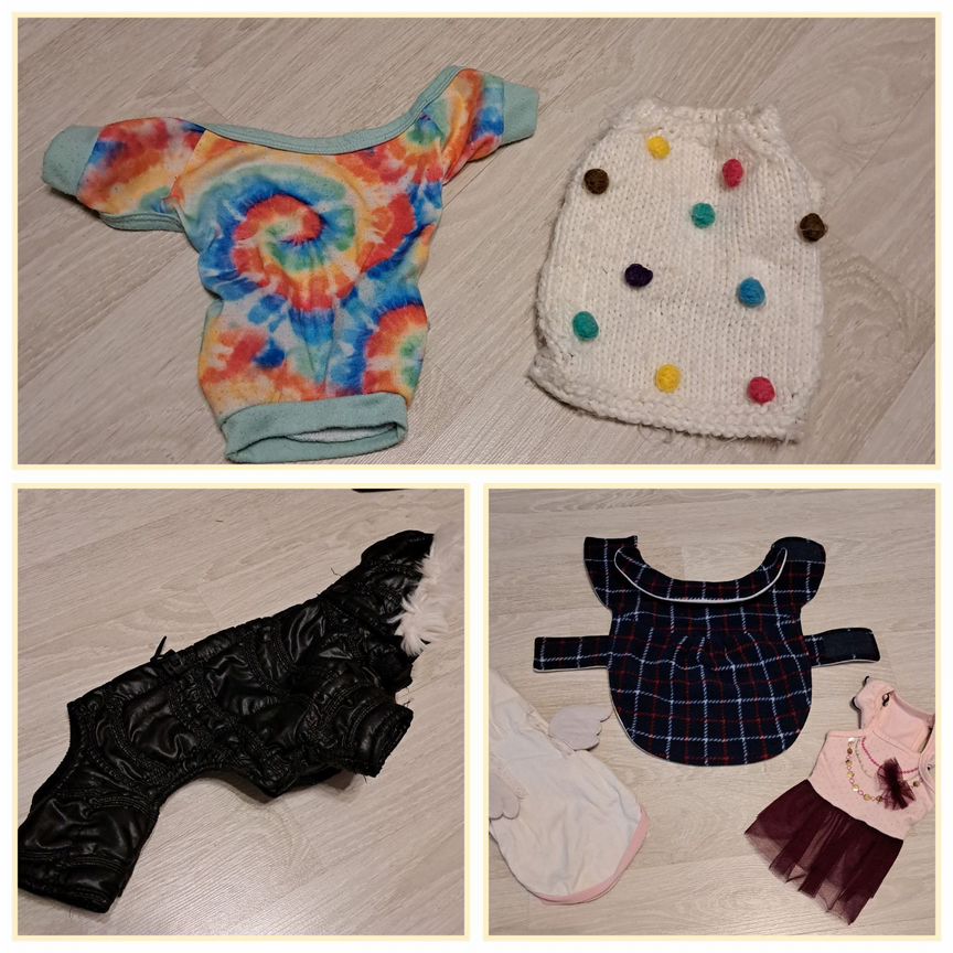 Одежда для йорка / маленькой собачки