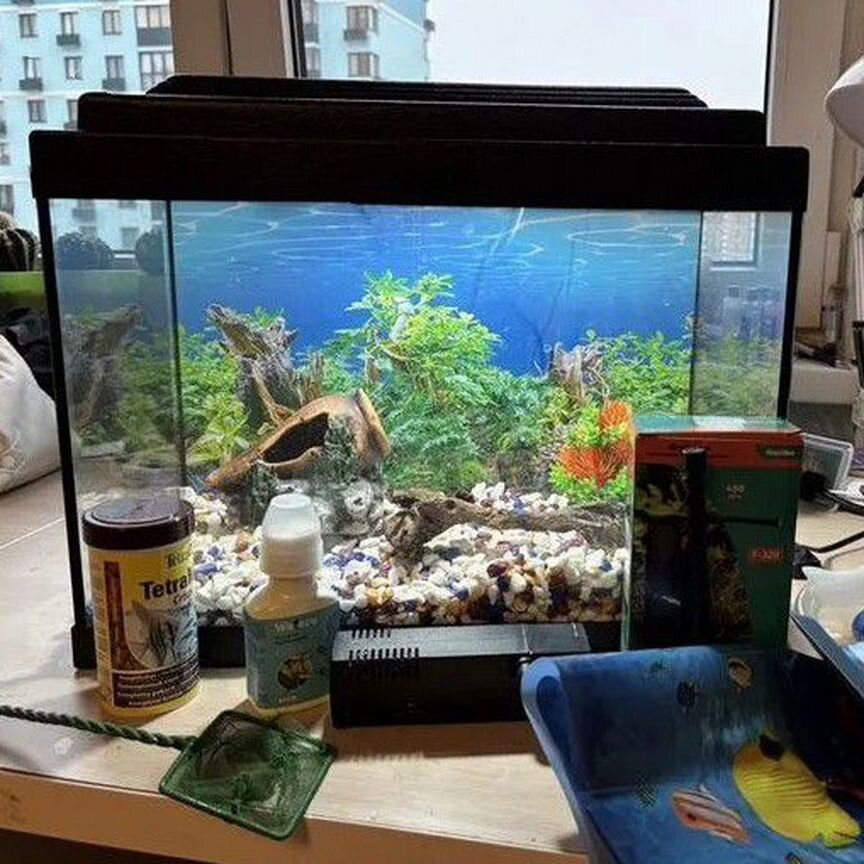 Аквариум 30 л, вещи которые нужны к нему